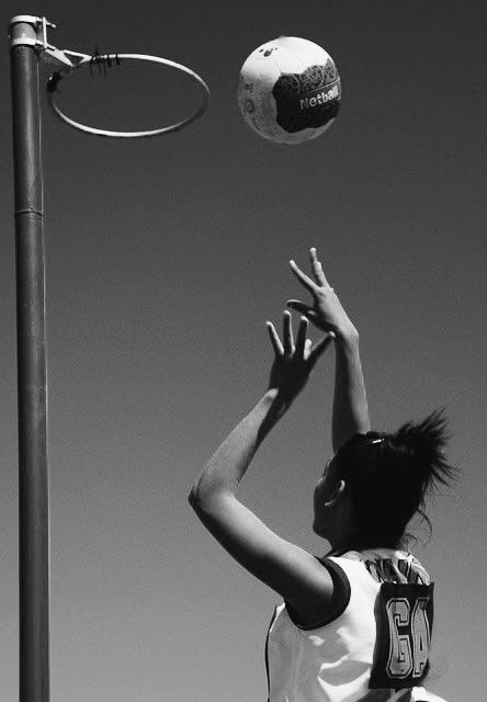 Services – Sporting Essentials